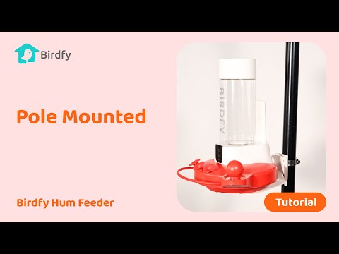 How to Mount Your Birdfy Hum Feeder on a Pole - Birdfy Hum Feeder Duo Tutorial