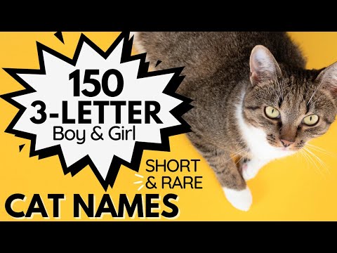 150 SHORT & UNIQUE Cat Names | 3 LETTER Cat Names for BOY & GIRL Cats (1 Syllable)