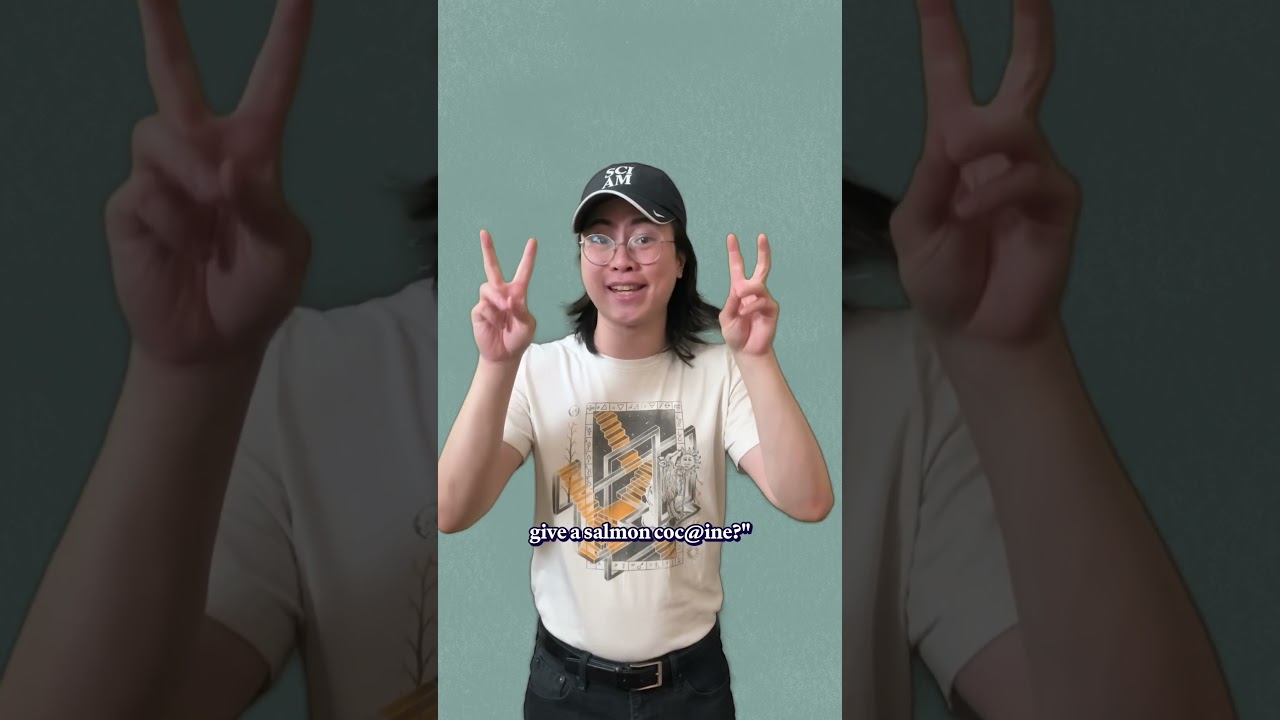 Here’s what happens when you give salmon coc@ine