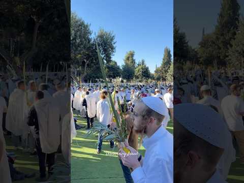 Jews celebrate Sukkot in Jerusalem, Israel 2024
