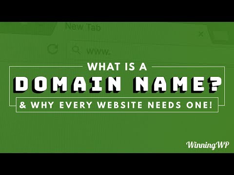 What Is A Domain Name? And Why Every Site Needs One: Explained!