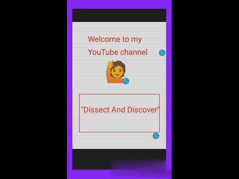 Axilla Part 1 | Educational videos | Education motivation | anatomy human body