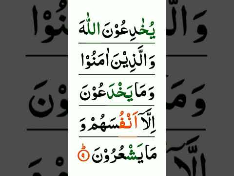 Surah Al Baqarah Ayat 9 | Learn Quran verse by verse