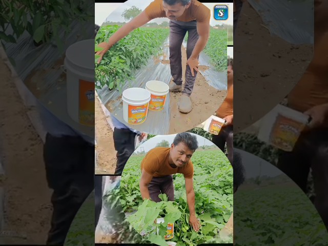 SWAROOP BRAND PRODUCTS - Swafert Micronutrient Fertilizers liquid ...