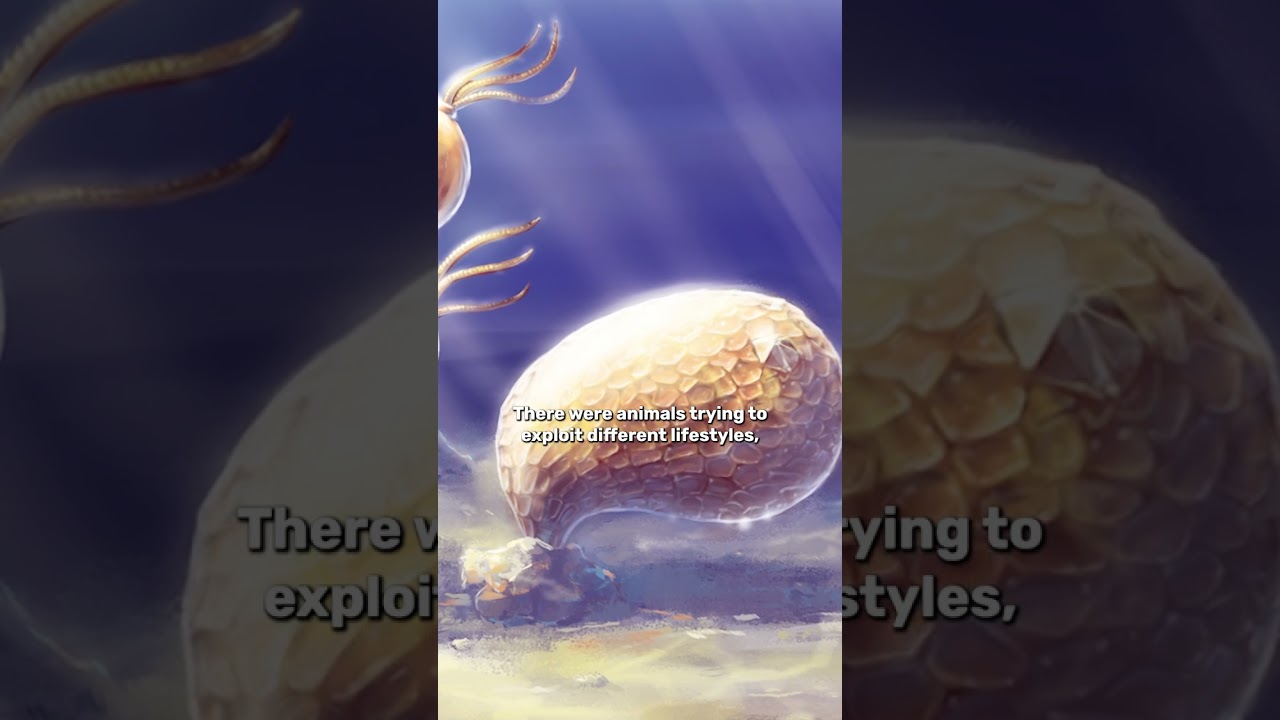 Life During The Ordovician Mass Extinction