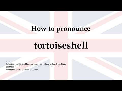 How to pronounce 'tortoiseshell' + meaning