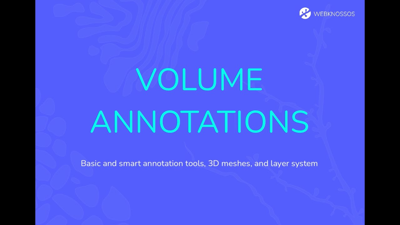 Tutorial on volume annotations with WEBKNOSSOS