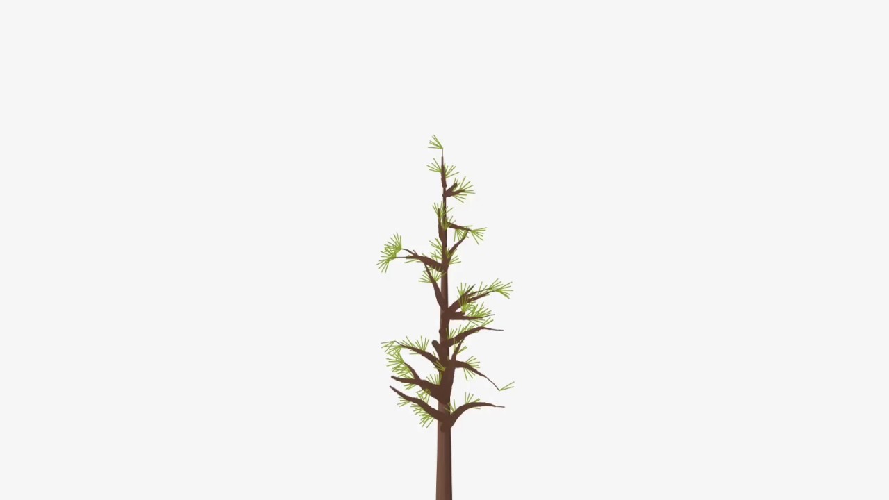 Awesome Tree Gif
