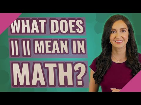 What does || || mean in math?