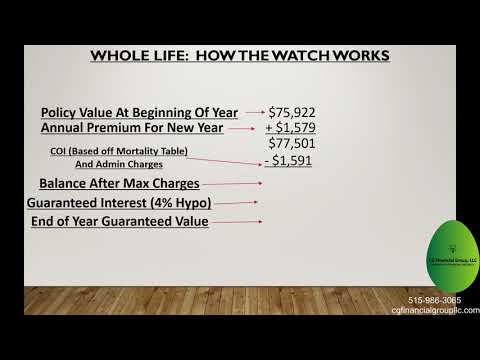Whole Life Dividends Explained