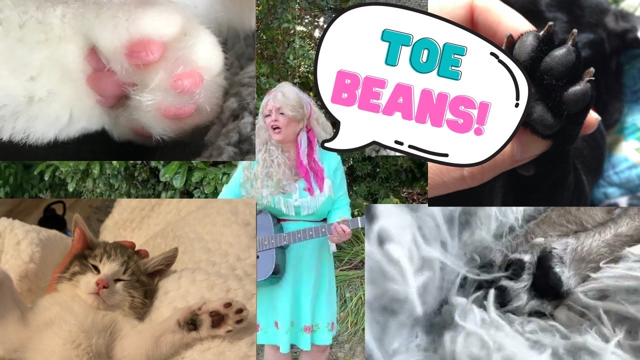 Toe Beans (to the tune of Dolly Parton's 