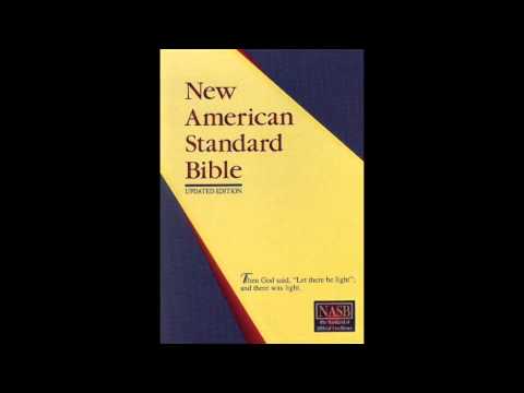 The Gospel of John (NASB Audio Bible Non Dramatized)