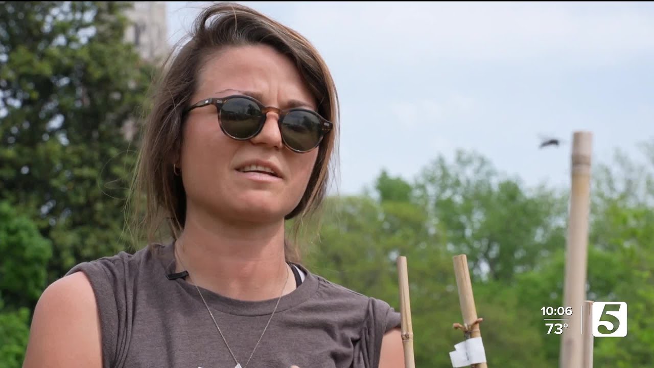 Nashville Tree Foundation gives out over 1,200 trees