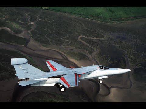 Vark Shuffle (EF-111 Raven/Aardvark Aesthetic)