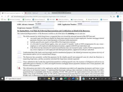 PPP LOAN FORGIVENESS FORM 3508S