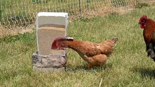 DIY Elbow Feeder Kits for Poultry - Premier1Supplies