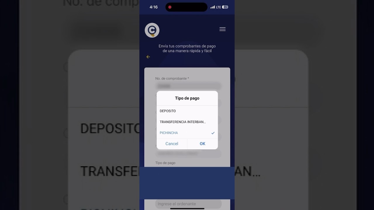 📤 Carga de Comprobantes de Pago