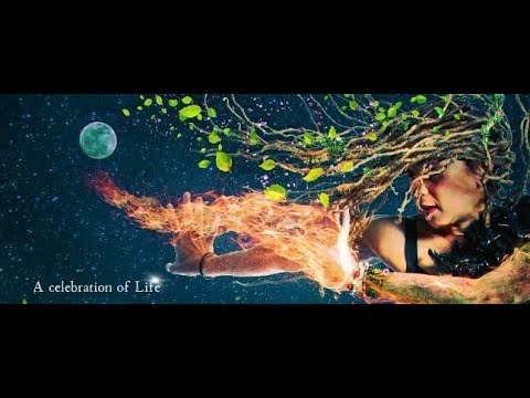 BrightFire Music and Arts Festival - a celebration of Life