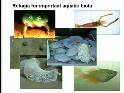 2010 ASLO Plenary: Stuart Bunn and Cliff Dahm on Arid Land Rivers