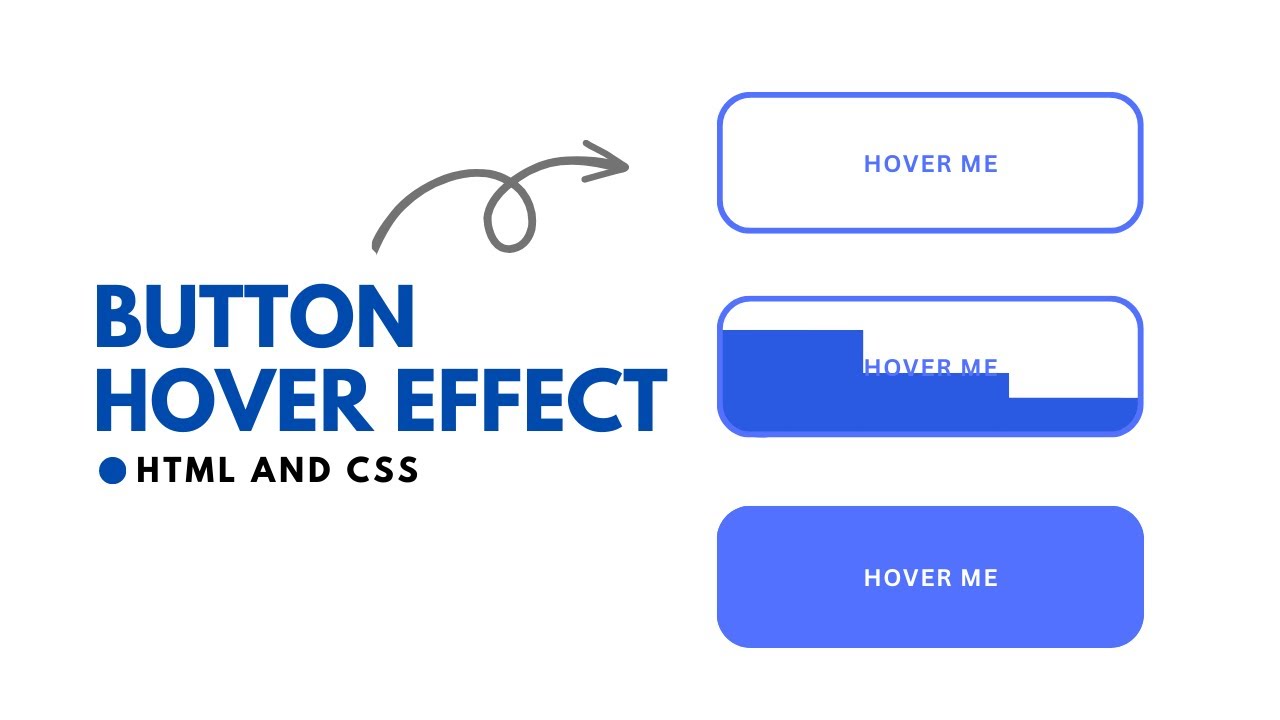 Button Hover Effect css and html only | Button Hover Animation