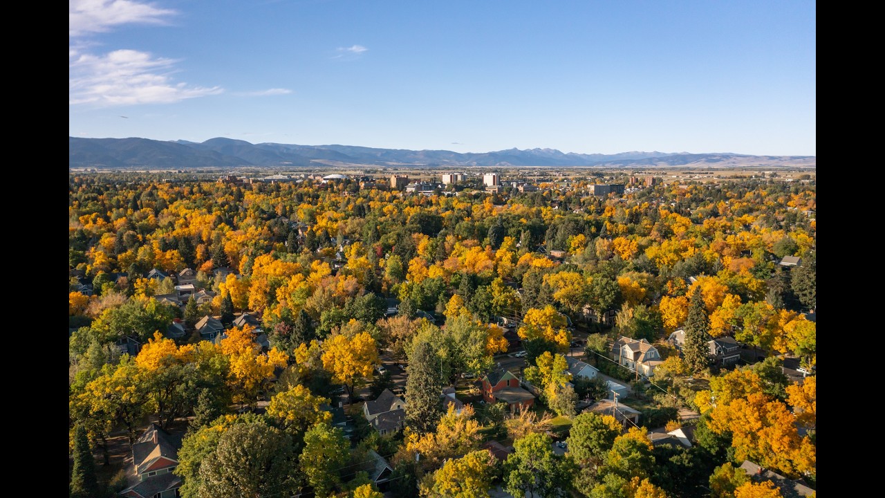 Urban Forest Management Plan (UFMP) April 28 Public Engagement Meeting