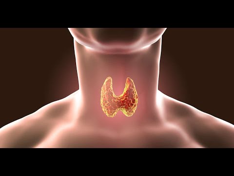 The Use of Free Thyroxine and Free Triidothyronine as an Index for the Assessment