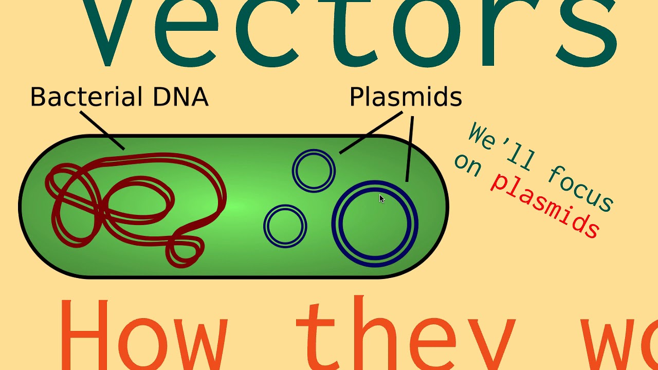Biotechnology - Chapter 20