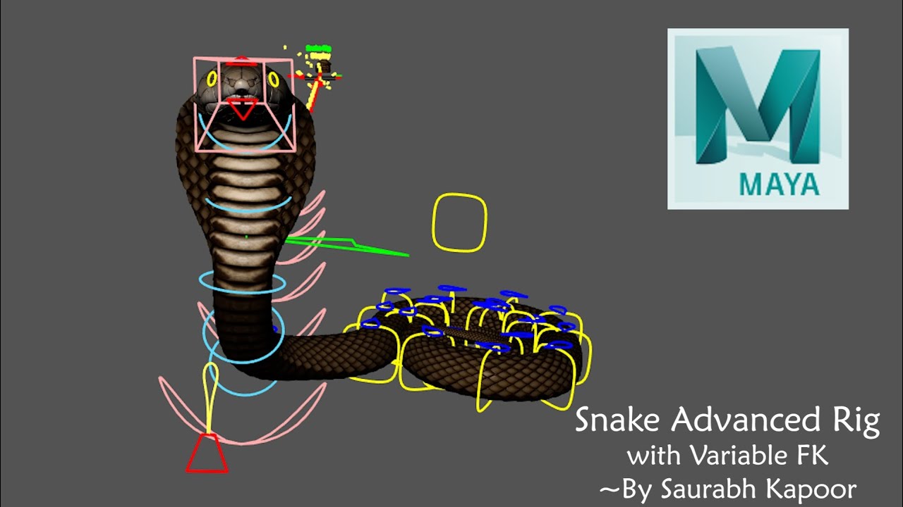 Snake Rig Advanced with Variable FK |Maya 2022|