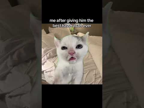 Send This To Your Girlfriend / Boyfriend 🥰 #cute #couple #love #memes #meme #cat #cats #relationship