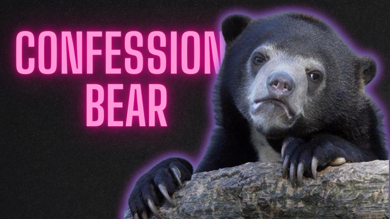 Confession bear - meme compilation