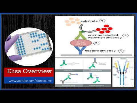 Enzyme Linked Immunosorbent Assay [ELISA] - Overview, Types and applications