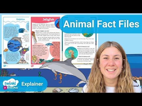 Animal Fact Files / Under The Sea Creatures