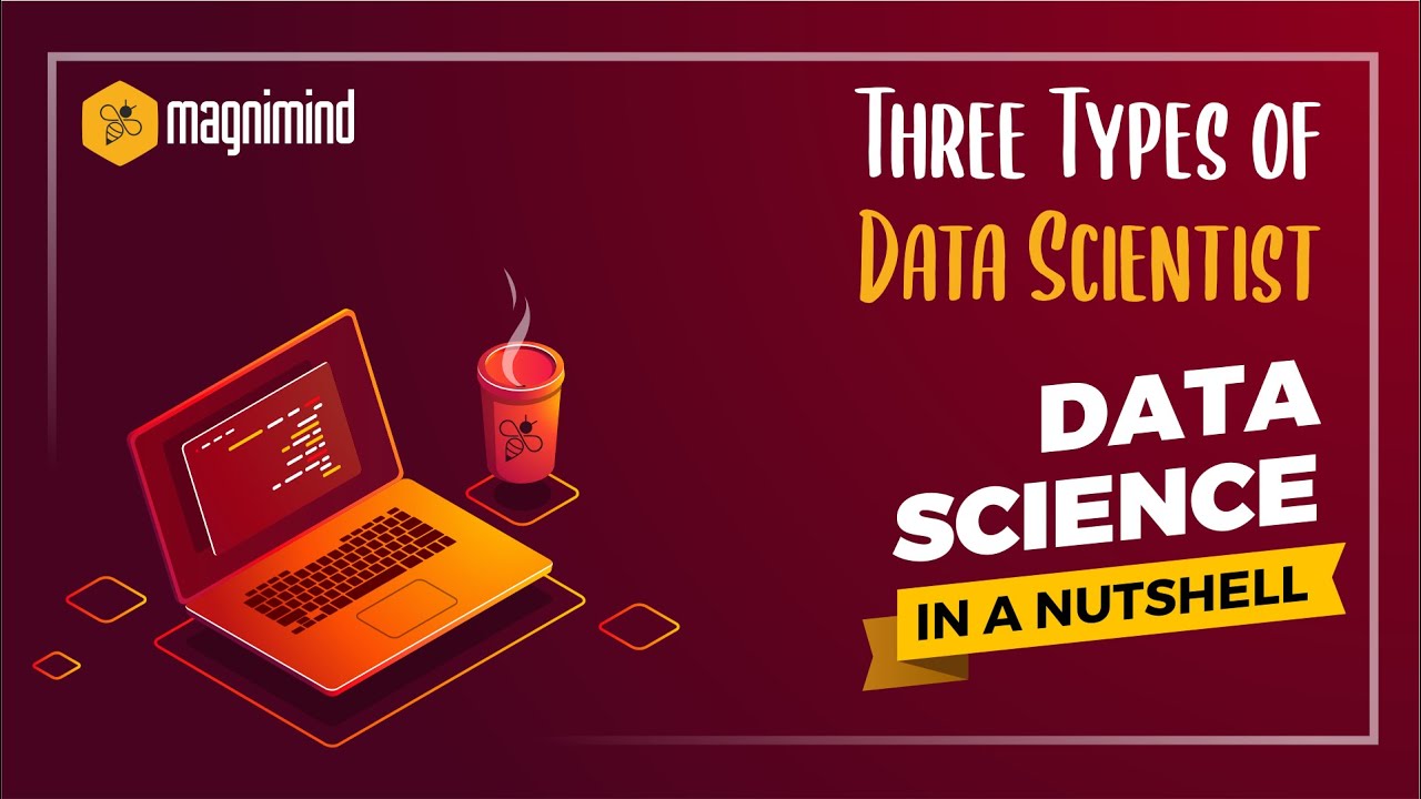 Three Types of Data Scientists