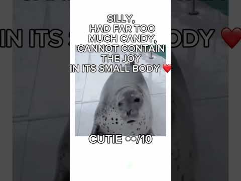 RANKING STUPID GIFS MY FRIEND SENDS ME #shorts