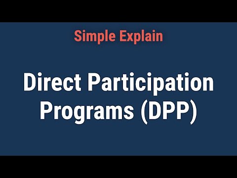 What Is a Direct Participation Program (DPP)?
