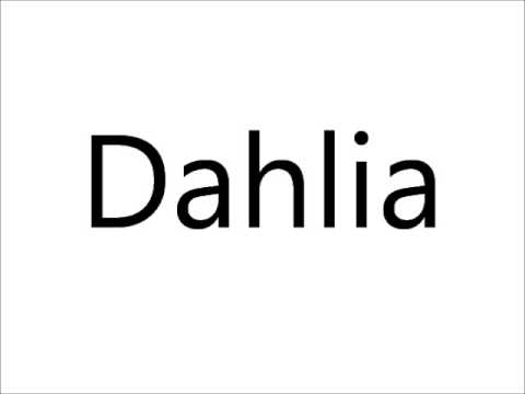 How to Pronounce Dahlia