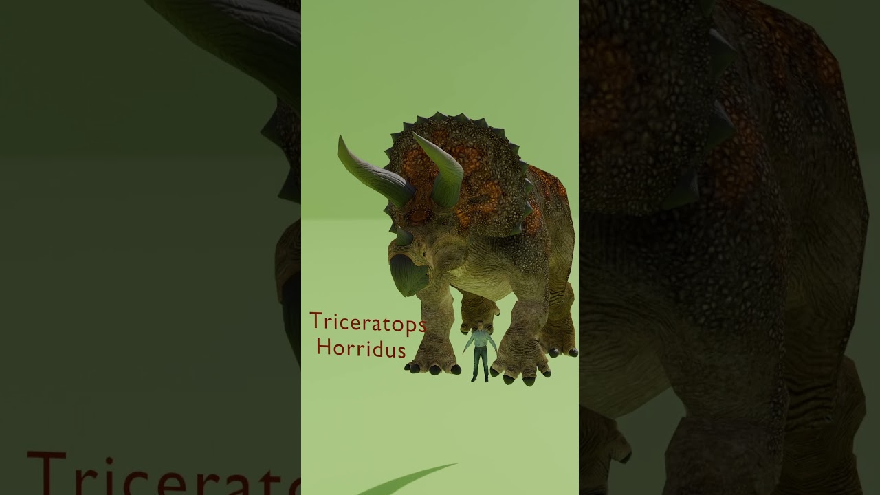 How Big Were Dinosaurs? 🦖 | 3D Size Comparison with Humans #3danimation #blender #jurassicpark