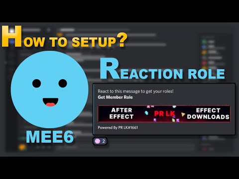 How To SetUp Reation Role In Mee6 Bot (Discord)