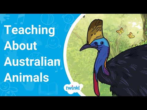 How to Teach About Australian Animals