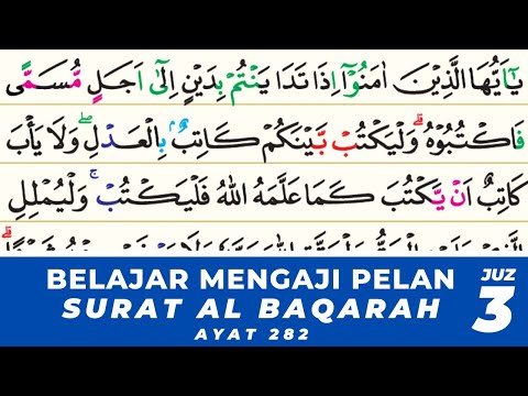 ▶️ MUROTTAL AL QURAN MERDU :: SURAH AL BAQARAH AYAT 282, METODE UMMI JUZ 3