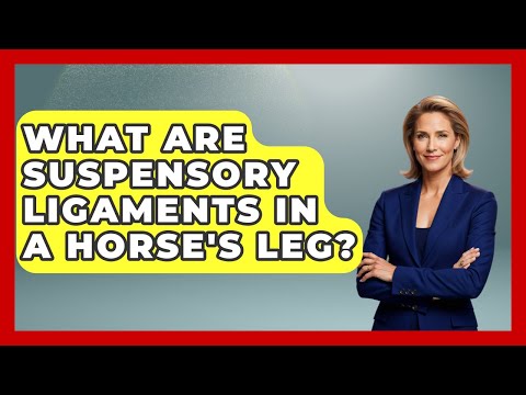 What Are Suspensory Ligaments In A Horse's Leg? - The Horses Stable