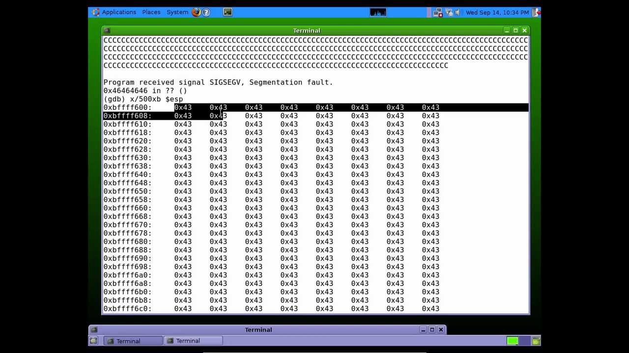Buffer Overflow Tutorial - Part 6