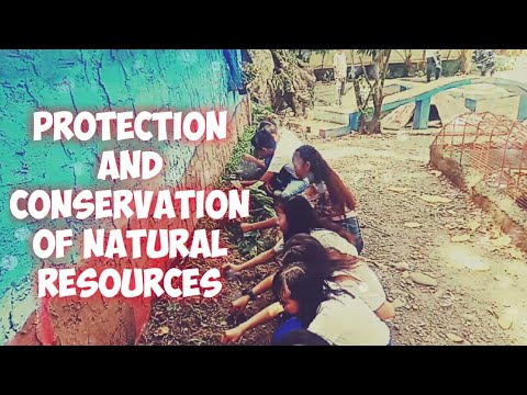Protection and Conservation of Natural Resources | 7 - Waling