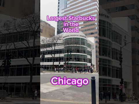 Magnificent Mile Chicago | Largest Starbucks in the World 💜☕️