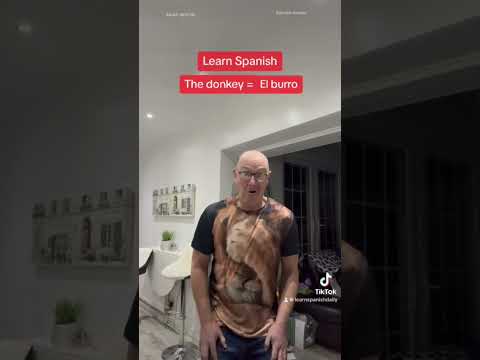 Learn Spanish -| #shorts | DONKEY in Spanish | #Youtubeshorts | Spanish Lessons