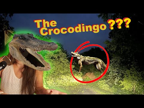 Crocodingo: Chilling History Behind Tennessee’s Legendary Hybrid
