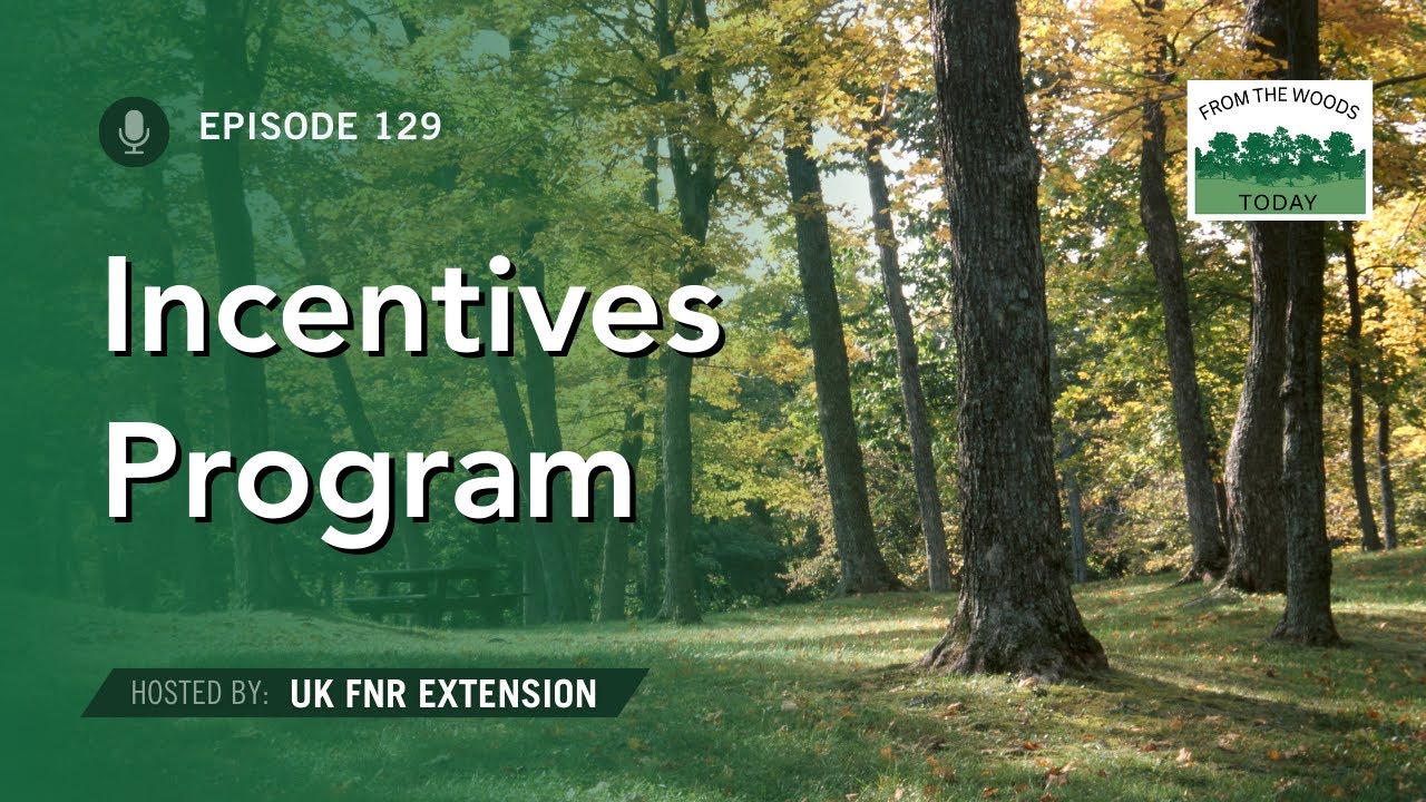 Environmental Quality Incentives Program - From the Woods Today - Episode 129