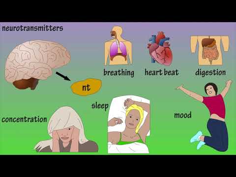 The Chemistry Behind Emotions KN