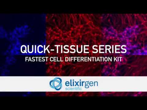 Quick Tissue Series Promotion