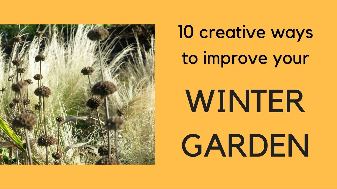 10 creative ways to improve your WINTER GARDEN